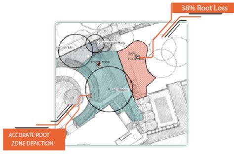 mature urban tree policy toolkit — biophilic cities