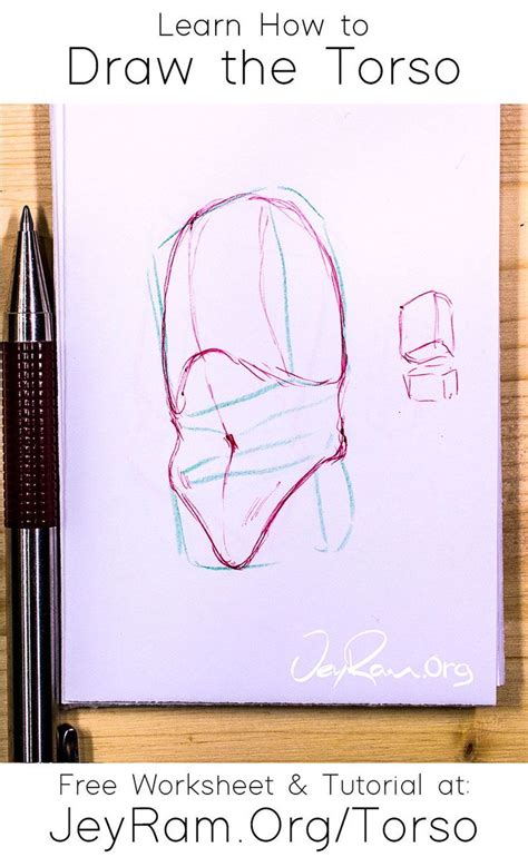 How To Draw The Torso Free Worksheet Tutorial Drawing Tutorial Torso Tutorial