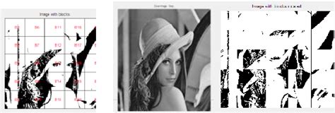 Figure 3 From A Steganography Technique For Hiding Image In Image Using Lsb Matching Revisited