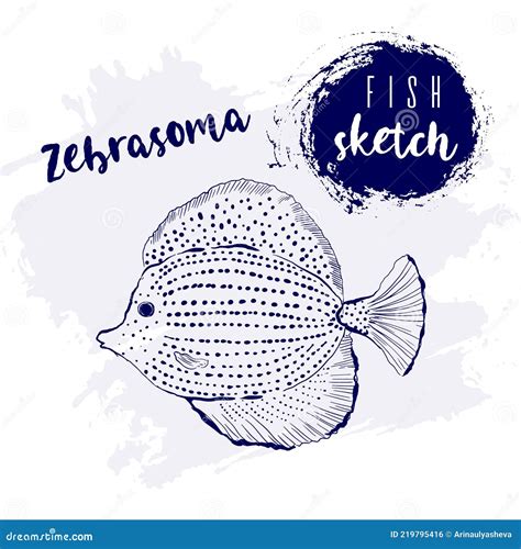 Marine Map Sketch Ancient Treasure Navigation Geography Vector Illustration CartoonDealer