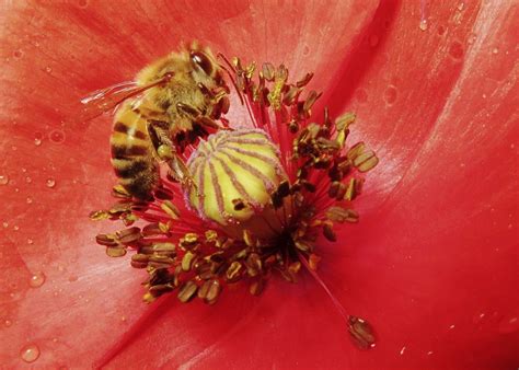 Mitchellscott4 Hill Country Photography Club