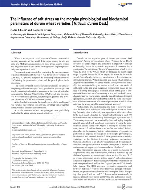 Pdf Durum Wheat Varieties Under Salt Stress 2020