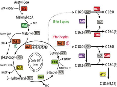 潮新（南京）生物科技
