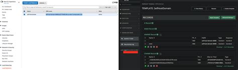 How To Self Host A Domain Optizmo