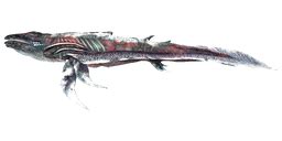 Astrocetus ARK Official Community Wiki