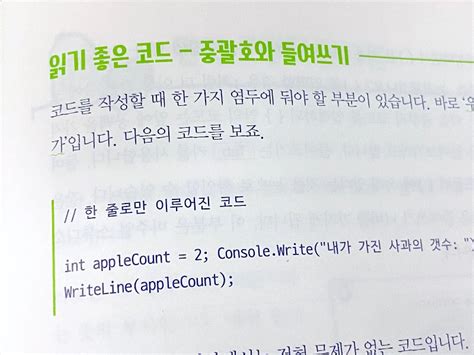 Hello Coding 프로그래밍 비전공자도 볼 수 있는 그림으로 배우는 기초 개념 헬로 코딩