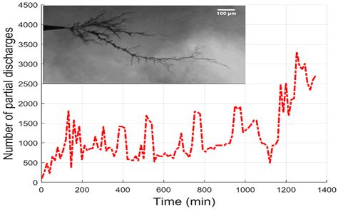 Electrical Treeing In Cable Insulation Under Different Hvdc Operational