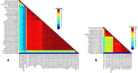color coded matrix of pairwise nucleotide identity inferred from