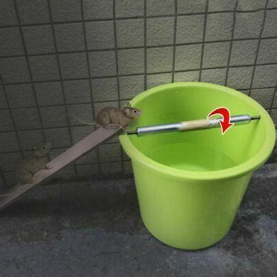 Useful Log Roll Bucket Mice Trap Rolling Mouse