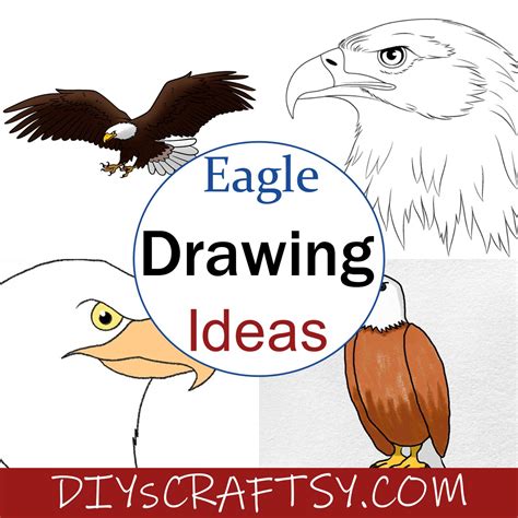 Emu Drawing Ideas How To Draw Emu Diyscraftsy
