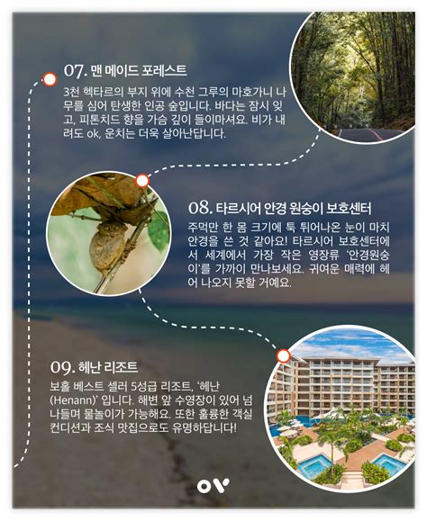 필리핀 보홀 여행코스 보홀 가볼만한 곳 보홀여행