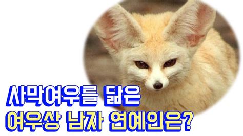 사막여우를 닮은 남자연예인 사막여우상 남자연예인 Youtube