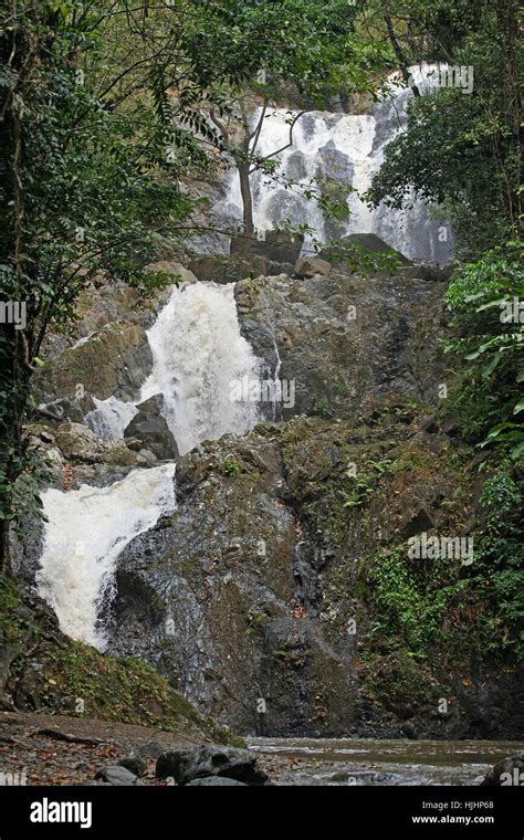 Argyle Falls Tobago Fotos Und Bildmaterial In Hoher Auflösung Alamy