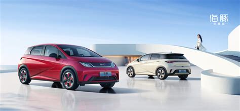 420km 주행에 1천만 원대 테슬라 절반값으로 나온 신형 전기차에 경쟁사들 피눈물