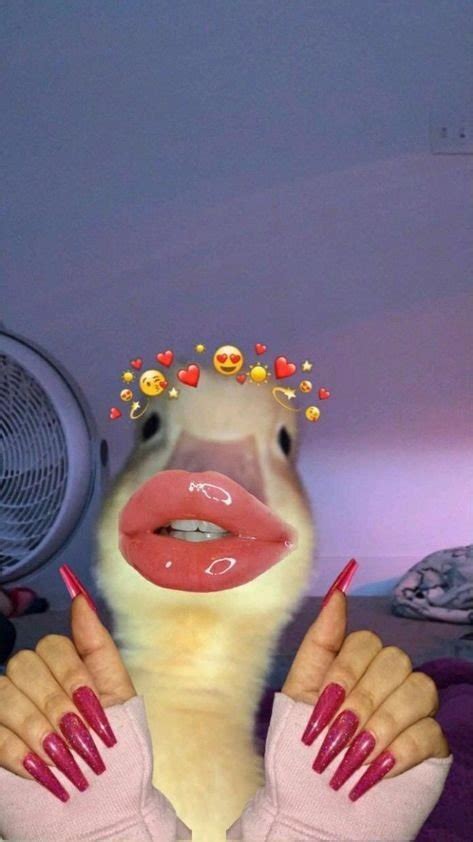 [1077 ] Funny Pfp Images Pics Photos And Wallpapers 2026