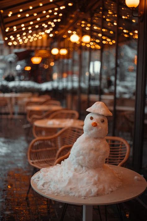 거리 겨울 겨울 동화나라 계절 날씨 눈 눈사람 도시 생활 도시 풍경 도시의 등나무 디스플레이 따뜻한 조명