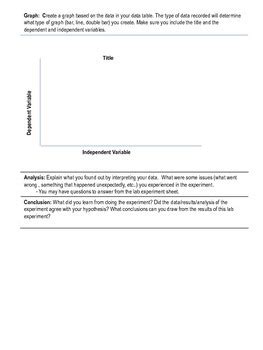 Science Lab Report Template By Sandy Brown TPT