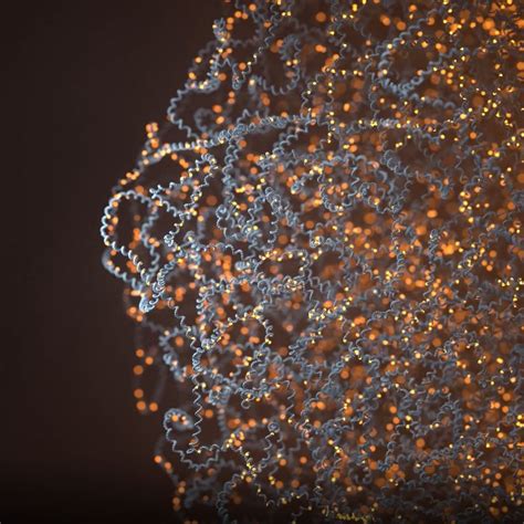 Genome Wide Single Molecule Analysis Of Dna Methylation By Nanopore Sequencing Reveals