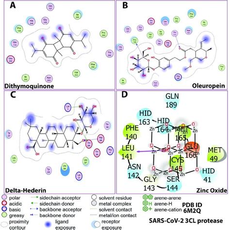 Post Docking Compound Protein Interaction Map Displayed In 2d Showing