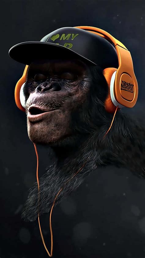 Fondos De Pantalla De Monos Hd