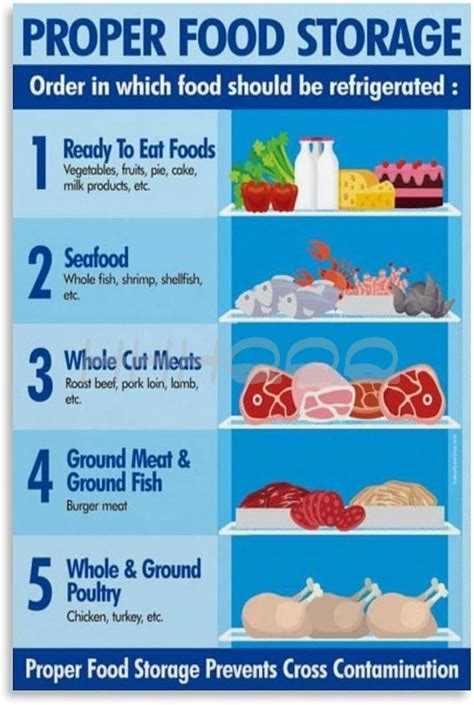 Proper Food Storage Chart Posterrefrigerator Food Storage Guide Poster