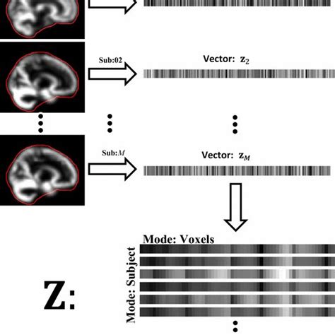 Vectorization And Matrix Of Gmv Of Multiple Subjects Download