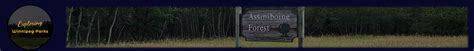 Assiniboine Forest Trails Exploring Winnipeg Parks