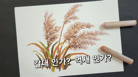 오일파스텔로 갈대 그리는 방법 배워보세요초보자가능 Youtube
