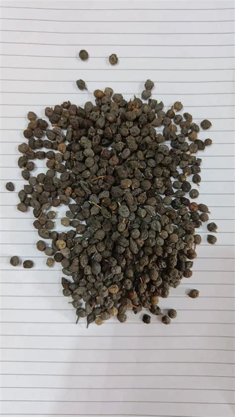 A Grade Triple Zero Dried Ker Berry At Rs 1800 Kg In Jodhpur Id 2853376393888