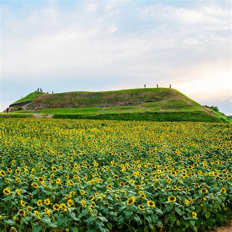강원도 빅 버스 시티투어 강원 힐링과 쉼을 누릴 수 있는 여행지 철원연천 당일 여행 서울 출발 마이리얼트립