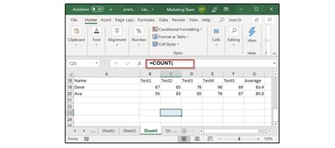 Microsoft Excel Certification International English Test