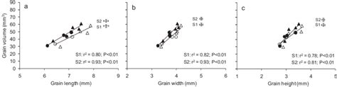 Relationship Between Grain Volume Measured By Water Displacement And Download Scientific