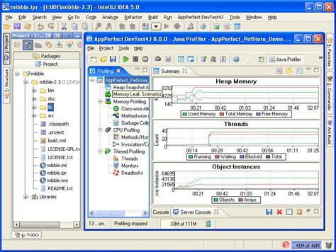 Appperfect Java Profiler Appperfect
