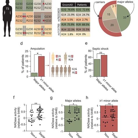 Functional Interplay Between Human Sting Genotype And Bacterial Nadase