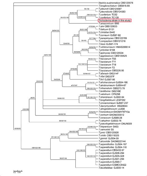 Phylogeny Of Selected Trichoderma Species Suggests A New Trichoderma