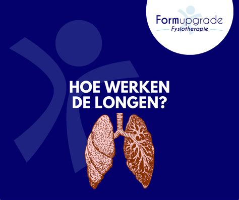 Hoe Werken De Longen Fysiotherapie Formupgrade