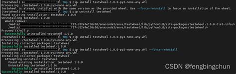 Python wheel文件详细介绍 python 脚本之家