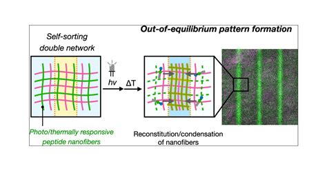 Phototriggered Spatially Controlled Out Of Equilibrium Patterns Of Peptide Nanofibers In A Self