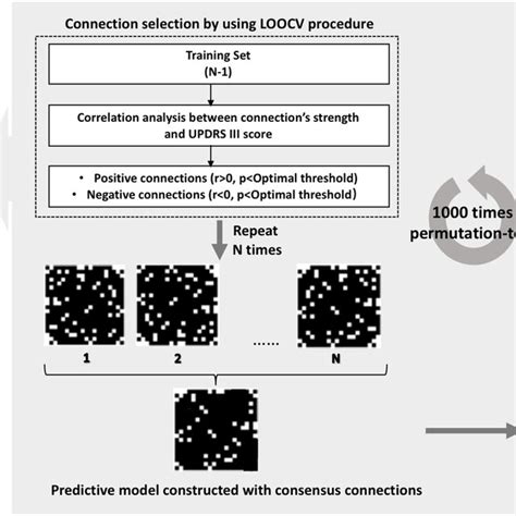 Workflow For Identifying A Whole‐brain Connectome‐based Model For Download Scientific Diagram