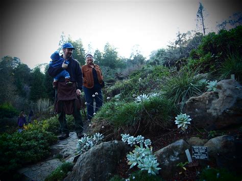 Tilden Park Botanic Garden Misapedia Flickr