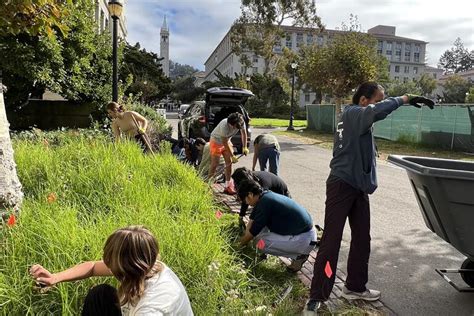 Vlsb Pollinator Garden The Green Initiative Fund Vlsb Pollinator Garden The Green Initiative Fund