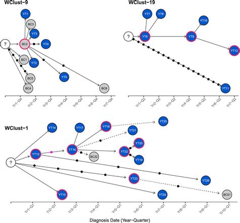 Transmission Networks Of Three Mycobacterium Tuberculosis Genomic