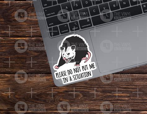 Please Do Not Put Me In A Situation Funny Possum Sticker For Introve