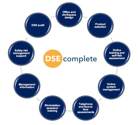 Display Screen Equipment DSE Risk Management Services Ergability
