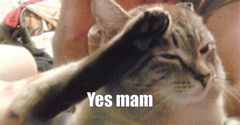 Meme Yes Mam All Templates Meme