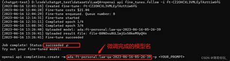 基于openai（chatgpt）进行模型微调的详细步骤chatgpt微调 Csdn博客