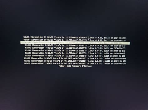 why i use nixos and my experience with that system vinhphamthanh dev