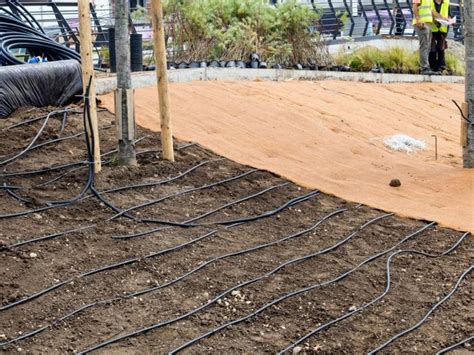 Subsurface Drip Irrigation For Lawns And Home Landscapes