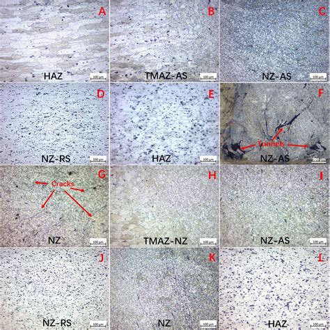 Optical Micrographs Of The Marked Areas In Figure 2 Download Scientific Diagram