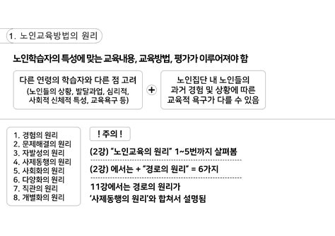 노인교육론 강의록 11강 주요내용과 문제함께 풀어보세요 교육학과 방송통신대학교